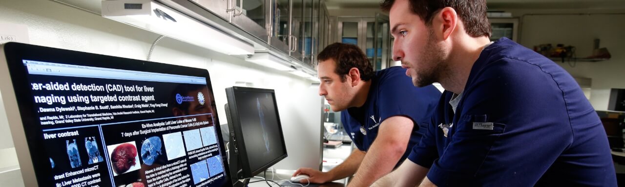 Undergraduate Biomedical Engineering Major - Biomedical Engineering ...